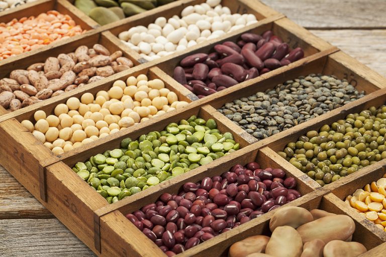 Protein Crisps: What Are They Made Of And Are They Healthy? – Mindset Fit