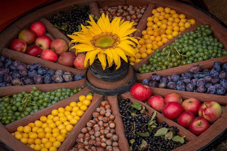 Complete Guide to All 13 Essential Vitamins: Functions and Food Sources ...